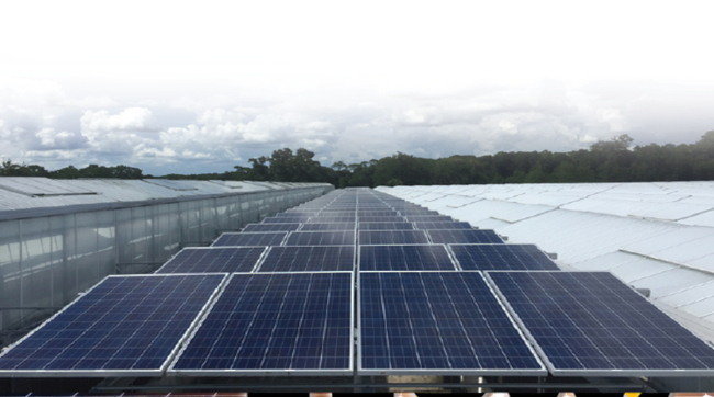 10 Reasons to Go Solar with Commercial Solar Energy | 3 Guys Solar, LLC