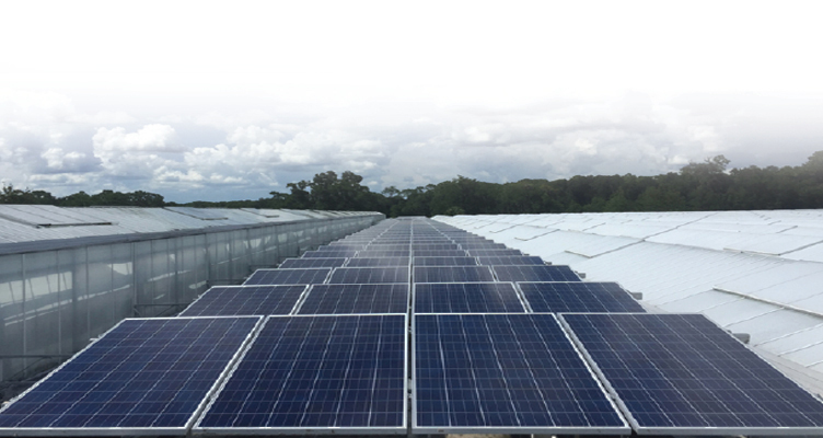 10 Reasons to Go Solar with Commercial Solar Energy | 3 Guys Solar, LLC